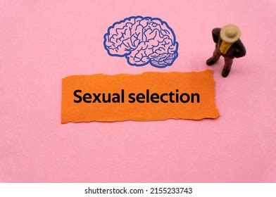 Sexual Selection Royalty Free Images Stock Photos Pictures Shutterstock