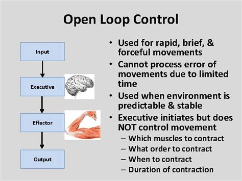 Open And Closed Loops Generic ClosedLoop System What