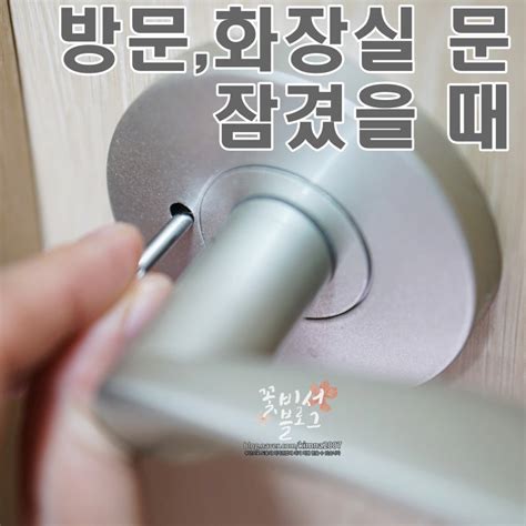 네이버 인플루언서