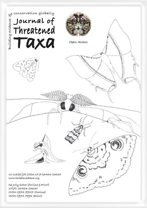 Status Of Macrofungal Diversity In The Wet Evergreen Forests Of