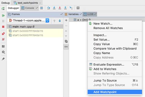 Watchpoints CLion Documentation