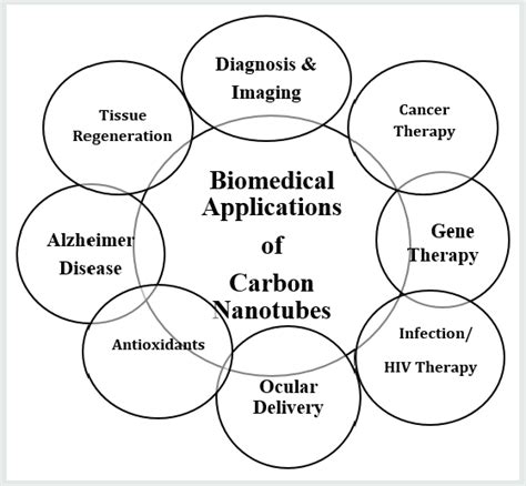 Carbon Nanotubes Exploring Intrinsic Medicinal Activities And Biomedical Applications