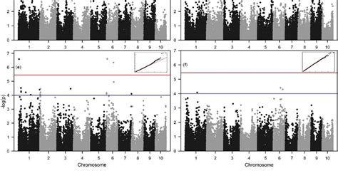 the manhattan and the respective quantile quantile q q plots of the
