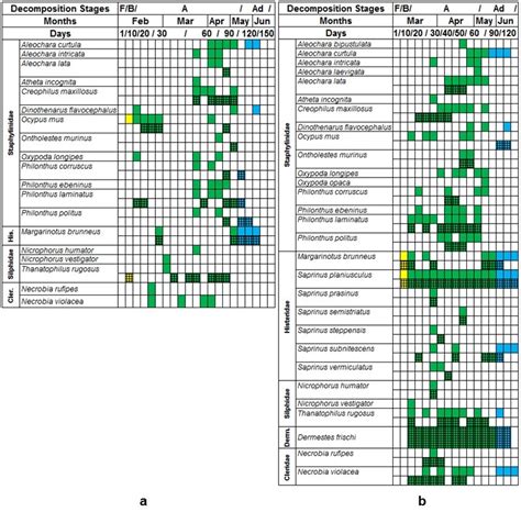 Succession Through Decomposition Stages Of Carcasses In Rural And Urban Download Scientific