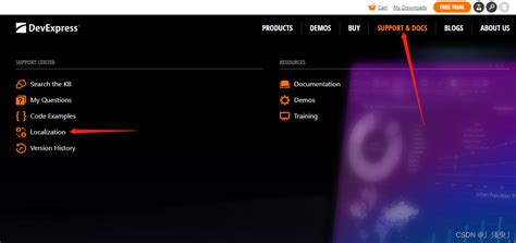 Devexpress项目汉化操作cvs2022devexpress汉化 Csdn博客 Devexpress项目汉化操作cvs2022devexpress汉化 Csdn博客
