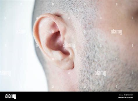 Close Up Detail Young Male Ear Showcasing Intricate Structure Human