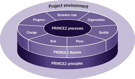 Introduction To PRINCE2 Themes The Project Manager S Guide