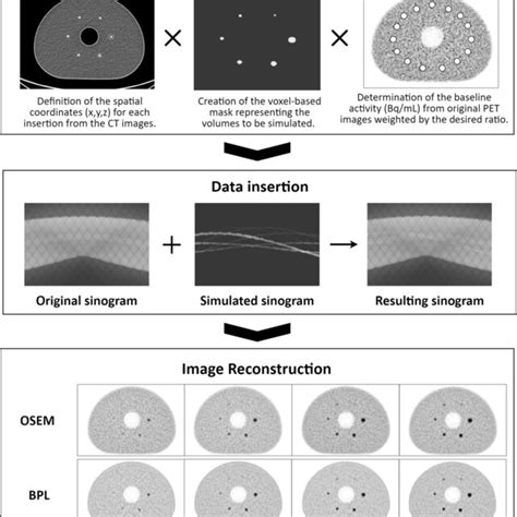 Workflow Of The Data Insertion Process Download Scientific Diagram