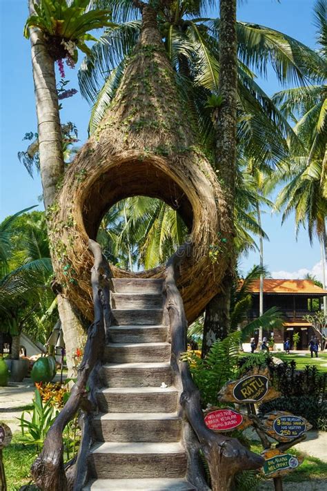 Sarang Ratu Elevated Nest Attraction At Kg Agong In Penaga Malaysia