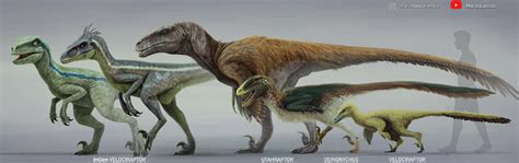 Velociraptor Jurassic Park And Other Relatives By Mariolanzas On