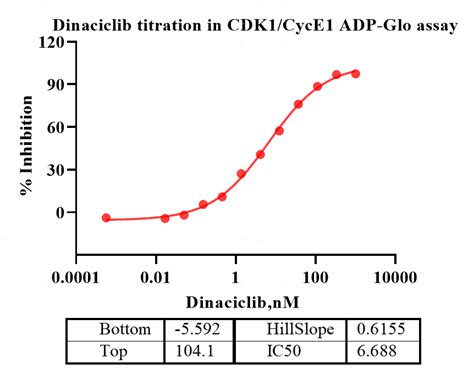 Cdk1cyce1 Cmgc Kinase Ice Bioscience Protein Platform