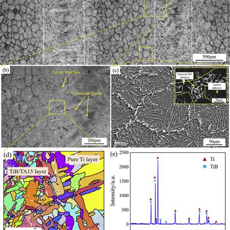 Microstructure Of The As Sintered Ti Tibta15 12 Composite A Download Scientific Diagram