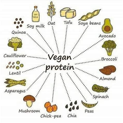 Веган хоолны танхим сургалт 93
