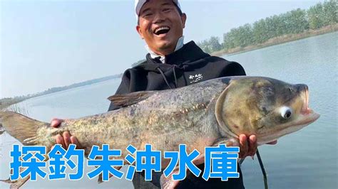 【鄧剛釣魚】探釣朱沖水庫釣鰱鳙，連續爆桿到手軟，最後讓魚遛了！ Youtube