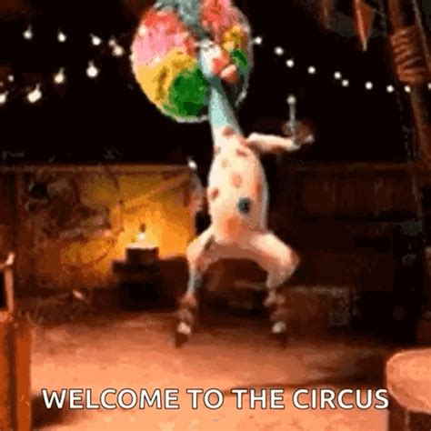 Madagascar Marty  Madagascar Marty Afro Circus Discover And Share S