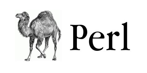 10 Perl Interview Questions And Answers In 2023