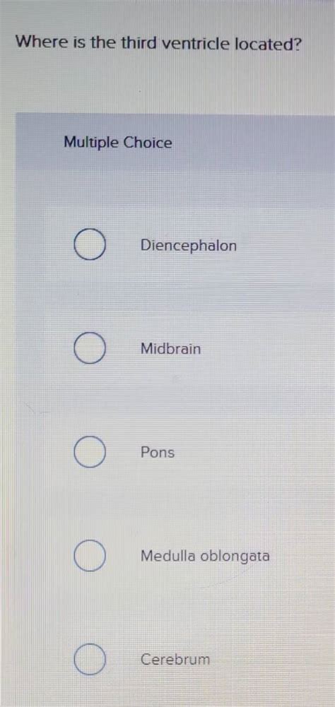 Where Is The Third Ventricle Located Multiple Choice Diencephalon