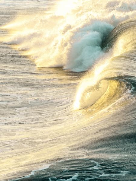 에로스와 프시케 영혼과 사랑 Magic