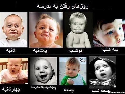 33 عکس از لحظات شگفت‌انگیز با عکس نوشته طنز تستچی