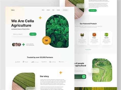 MERN Stack Proficient Full Stack Web Developer Upwork