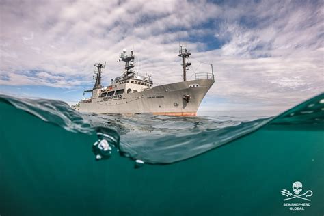 C Crewing Opportunities Sea Shepherd Conservation Society