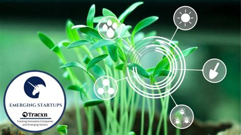 Diksha Dhand Posted On Linkedin