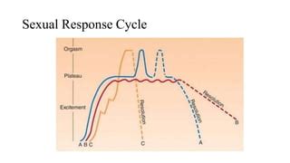 Normal Sexuality PPT