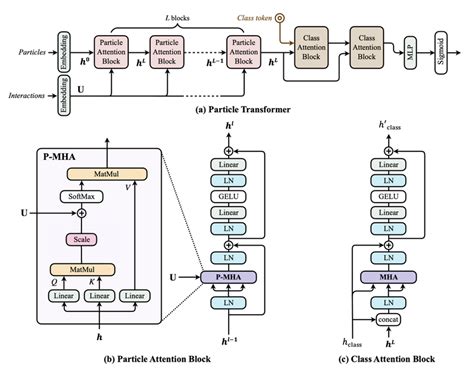 The Particle Transformer Part Architecture Adapted From Ref 29
