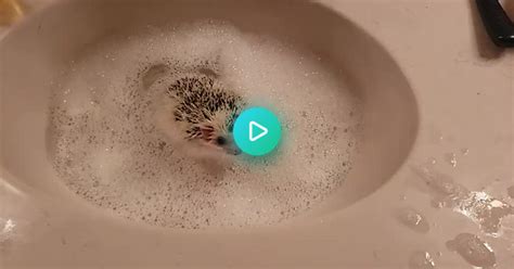 Soap Album On Imgur