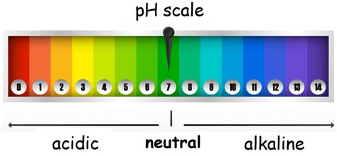 Applications Of Logarithmic Functions Neurochispas
