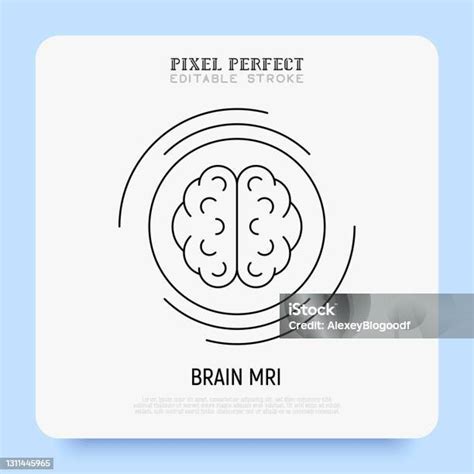 인간의 뇌 Mri 스캔 얇은 선 아이콘 종양학 탐지를 위한 의료 장비 픽셀 완벽 편집 가능한 스트로크 벡터 일러스트레이션설문 조사 Mri 스캐너에 대한 스톡 벡터 아트 및