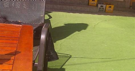 Yo Shadow Calm Down Rpics