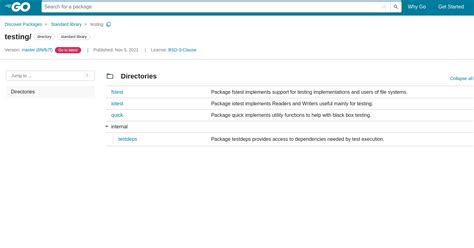 x pkgsite api docs for tip not showing · issue 49393 · golang go · github