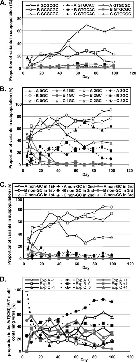 Analyses Of 6 Nt Dis Palindromic Sequences That Emerged From In Vivo Download Scientific