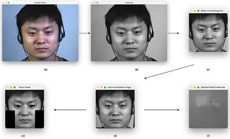 A Raw Image B Grayscale Processing Of The Raw Image C Download Scientific Diagram