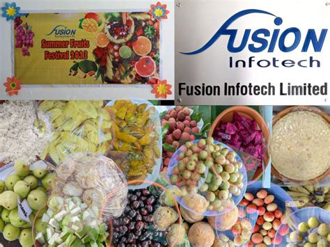 Fusion Infotech Limited Fusion Infotech Is Primarily A Software Development And System