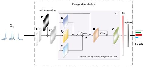 End To End Radar Hrrp Target Recognition Based On Integrated Denoising And Recognition Network