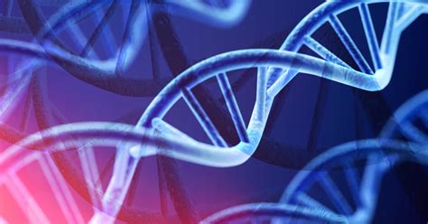 Unlocking The Secrets Of Cerebral Hemorrhage Through Whole Genome Sequencing Sequencing