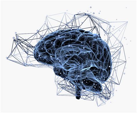 Neu Brain Brain Y Neue Generation Pbff