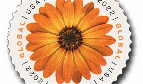 First Class Postage Regular Stamp Or Not