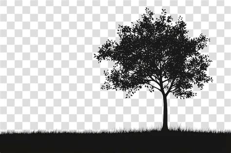 Tree Silhouette Png Images Free Download On Freepik
