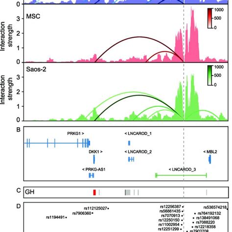 pathogenicity predictions of the six missense variants tested