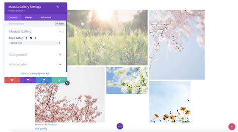 easily create stunning photo and video galleries with divi modula
