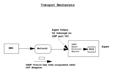 New Page 1 Userpages Umbc Edu