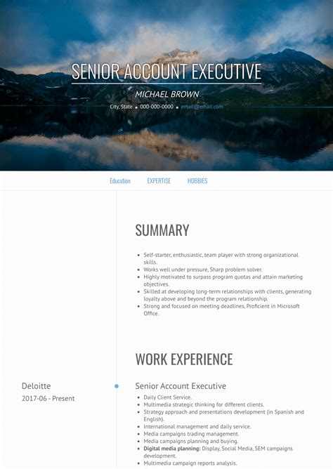 Accounts Executive Resume Samples And Templates VisualCV