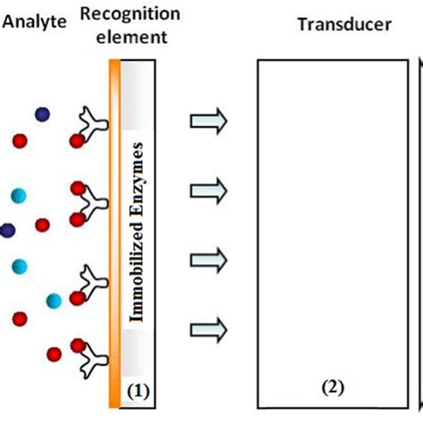 Schematic Diagram Of A Biosensor Download Scientific Diagram