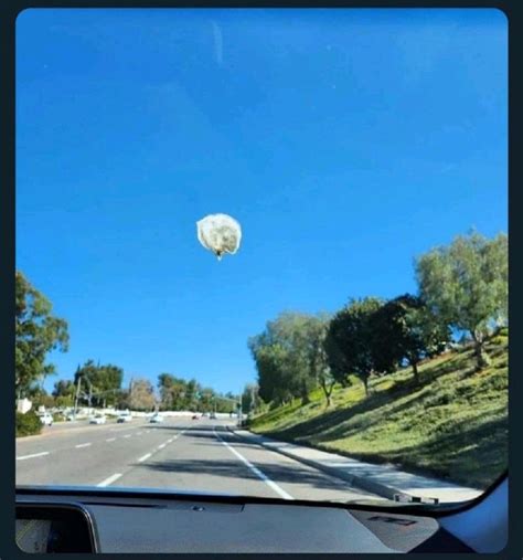 Nitin Raju Posted On Linkedin