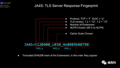 tls指纹之ja4发布！！！ ja4指纹 csdn博客