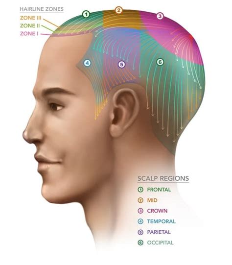 Scalp Regions Ilht Dubai