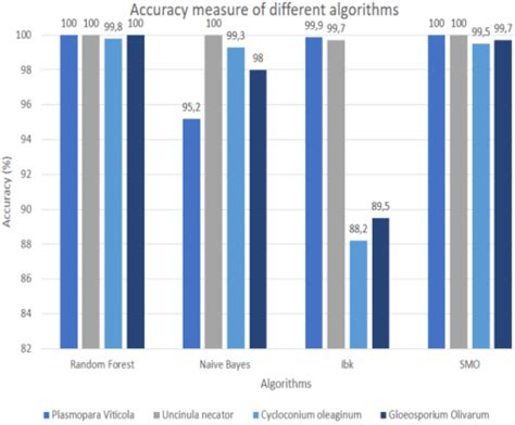 Accuracy Measure Of Different Algorithms Download Scientific Diagram